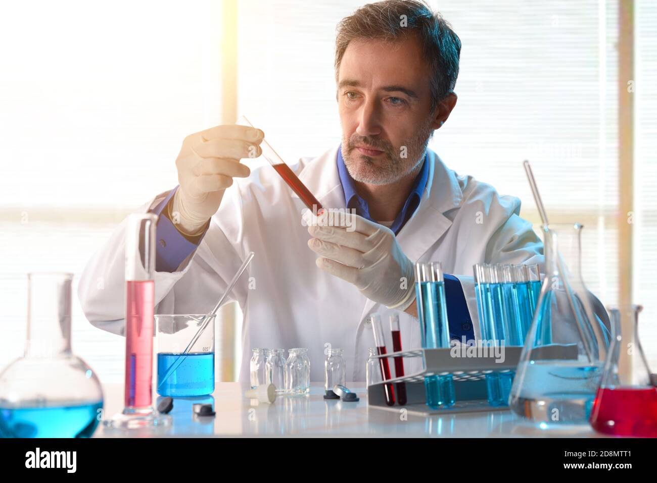 Laboratory technician analyzing blood samples in testing room ...