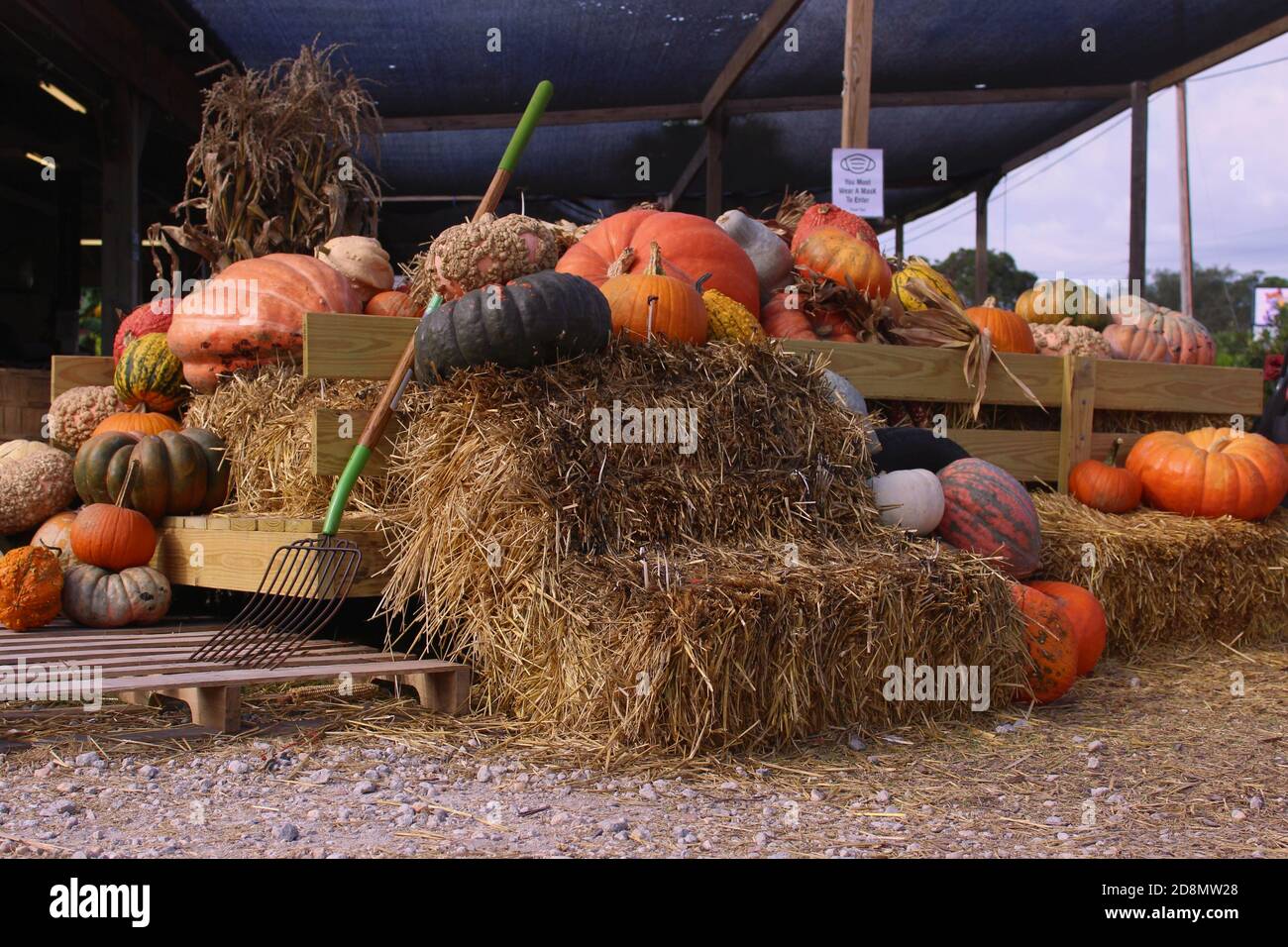 Harvest Scene at the Produce Stand #2 Stock Photo - Alamy
