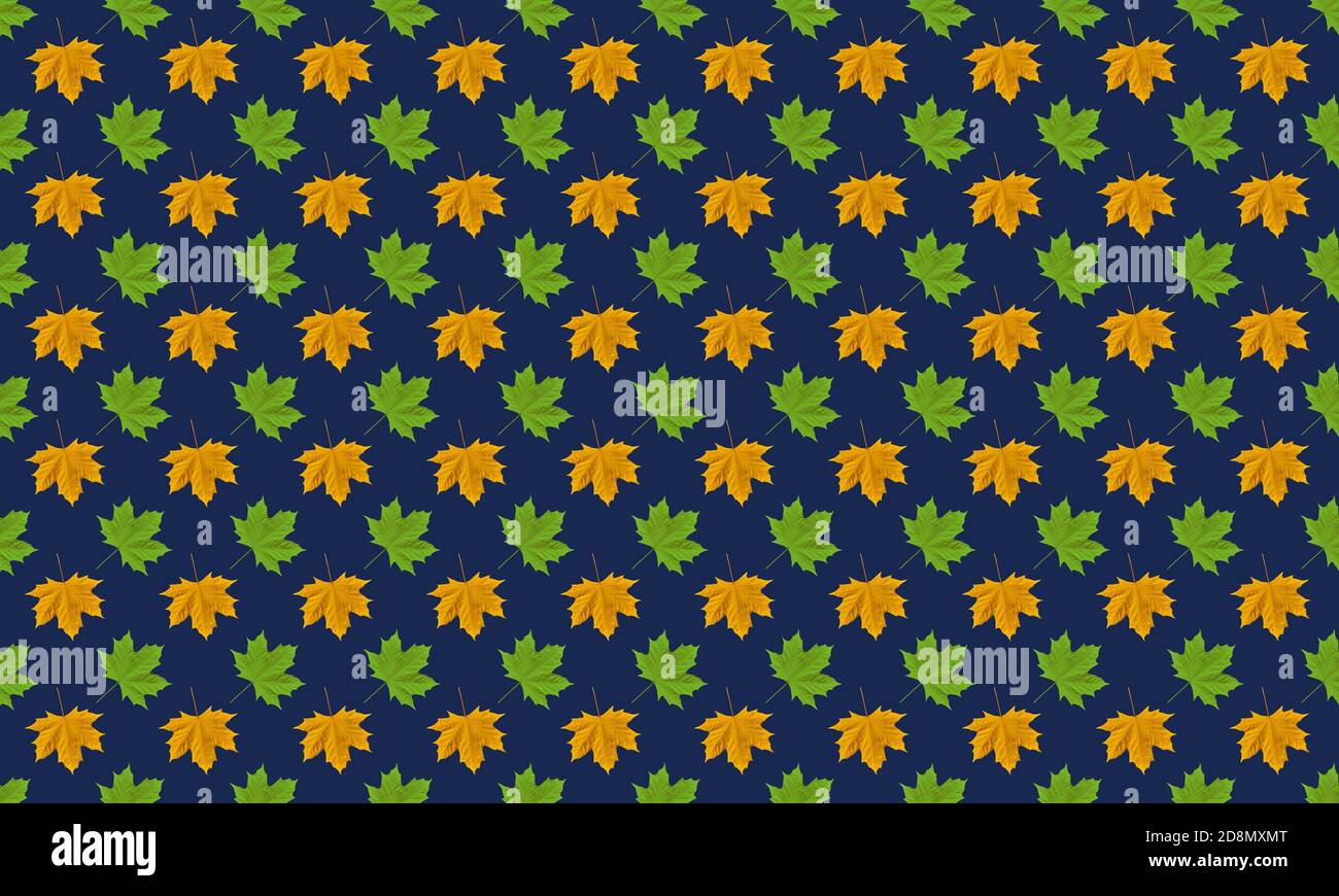Autumn leaves, seamless pattern, blue background Stock Photo - Alamy