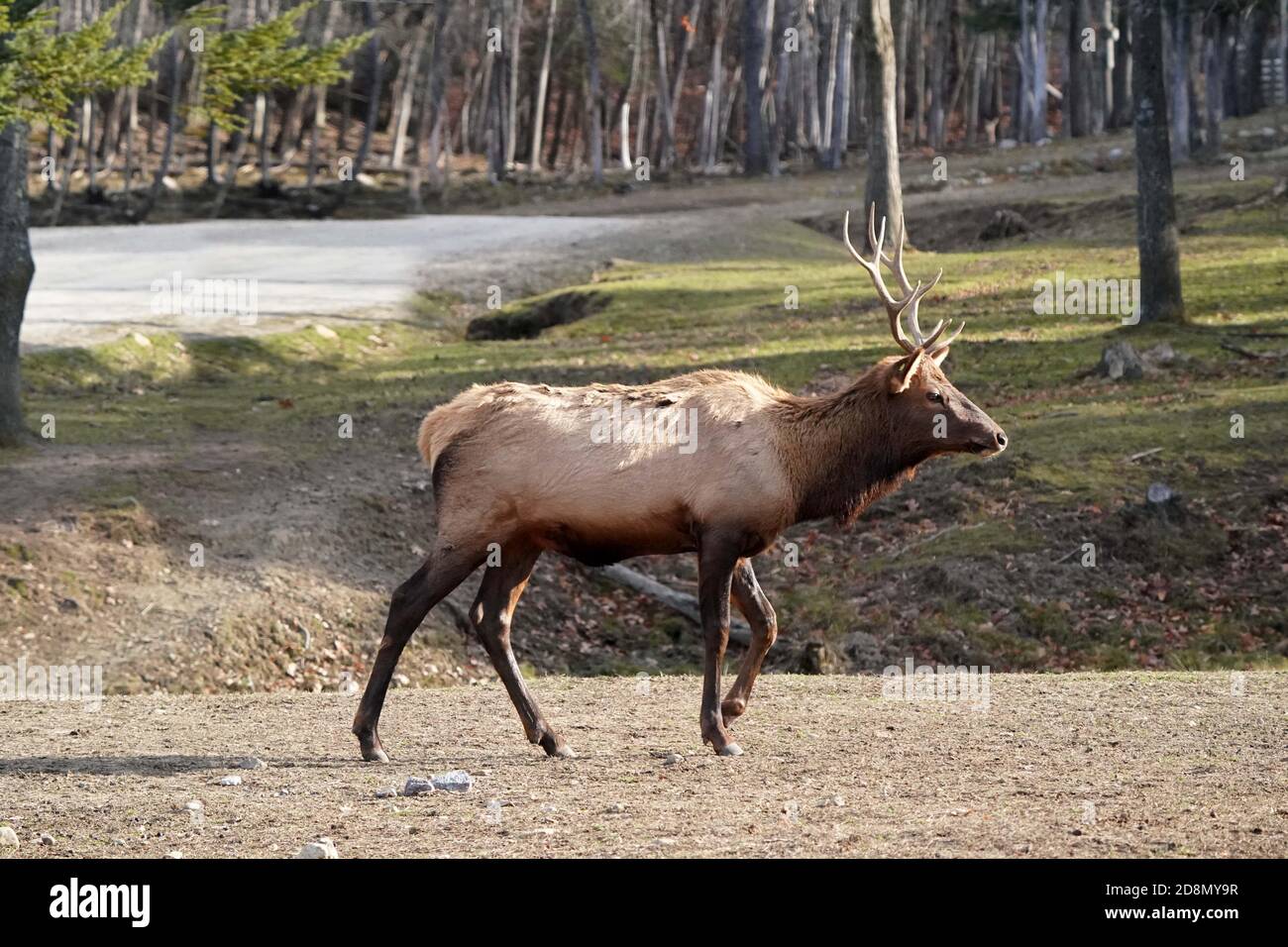 Elk neck state park hi-res stock photography and images - Alamy