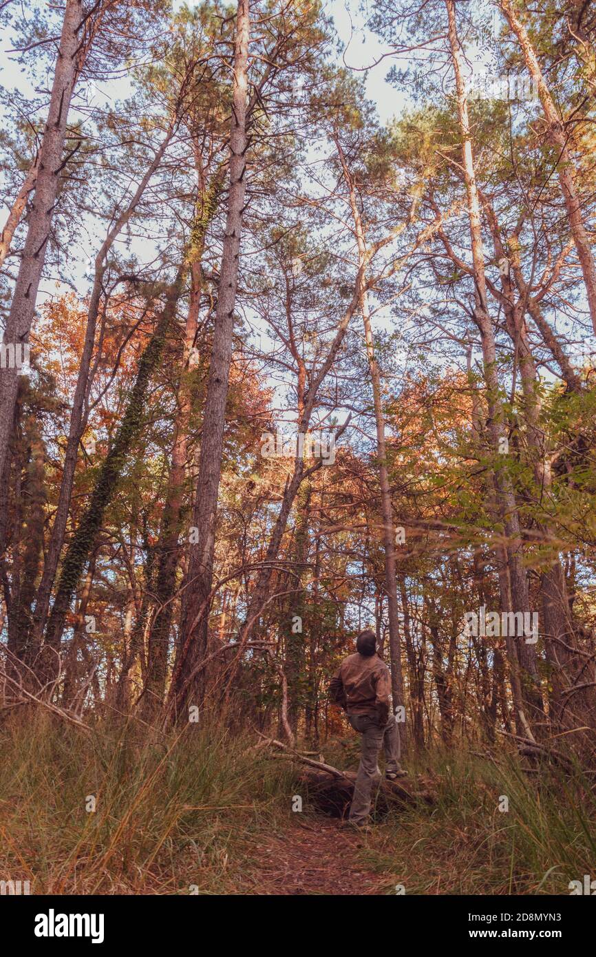 Hiking autumn person hi-res stock photography and images - Alamy