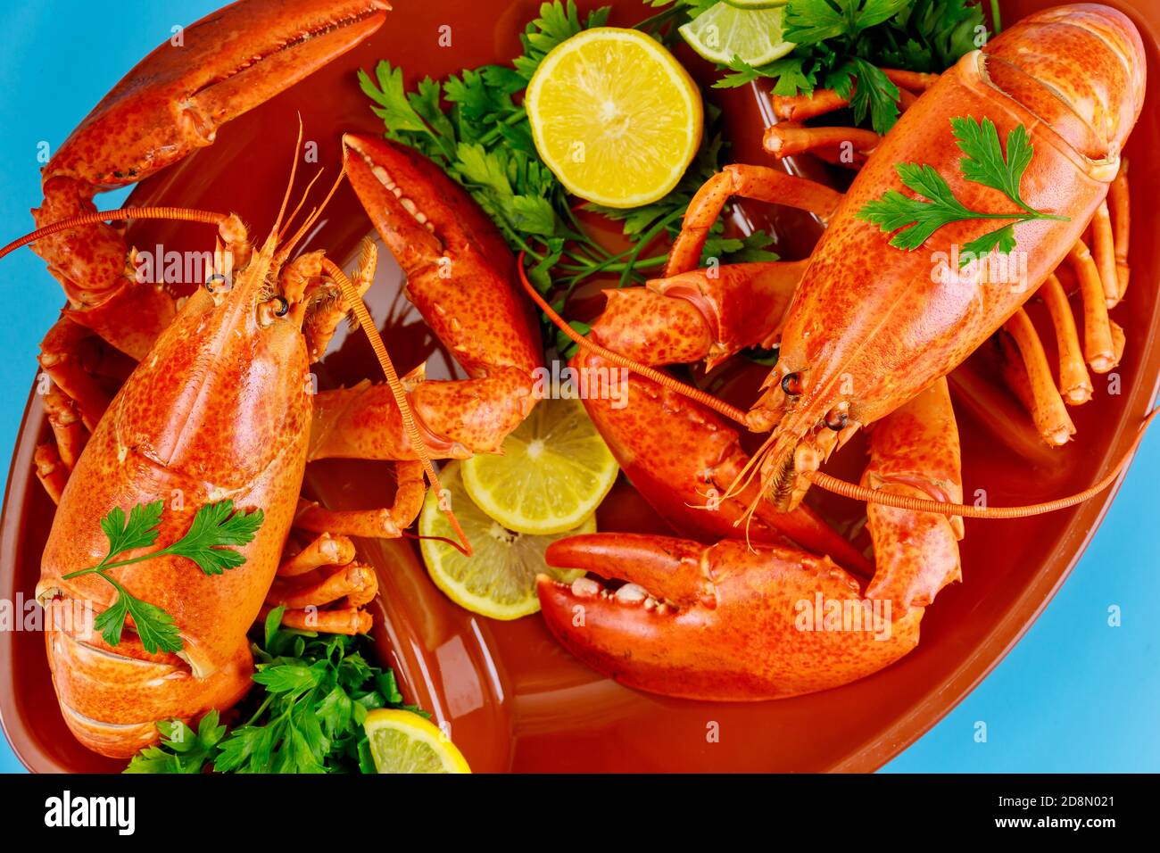 Cooked sea large lobster with lemon on tray Stock Photo - Alamy