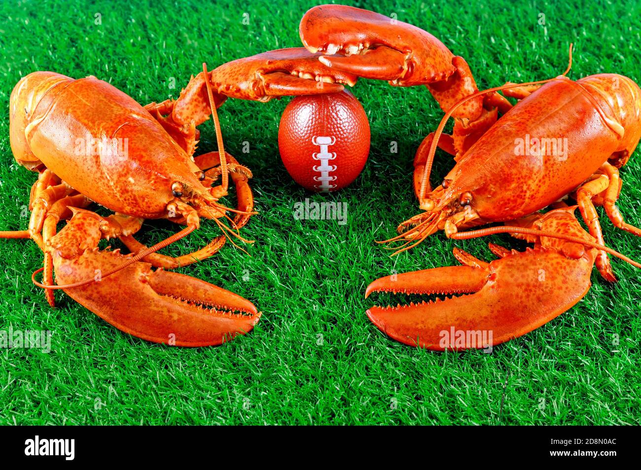 American football game season concept. Playing field and lobsters with ...