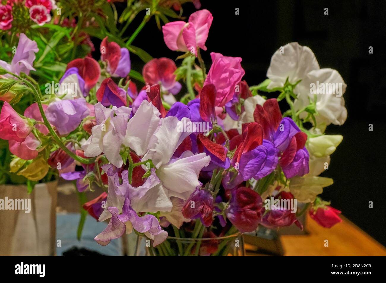 Bunch sweet peas copy space hi-res stock photography and images - Alamy