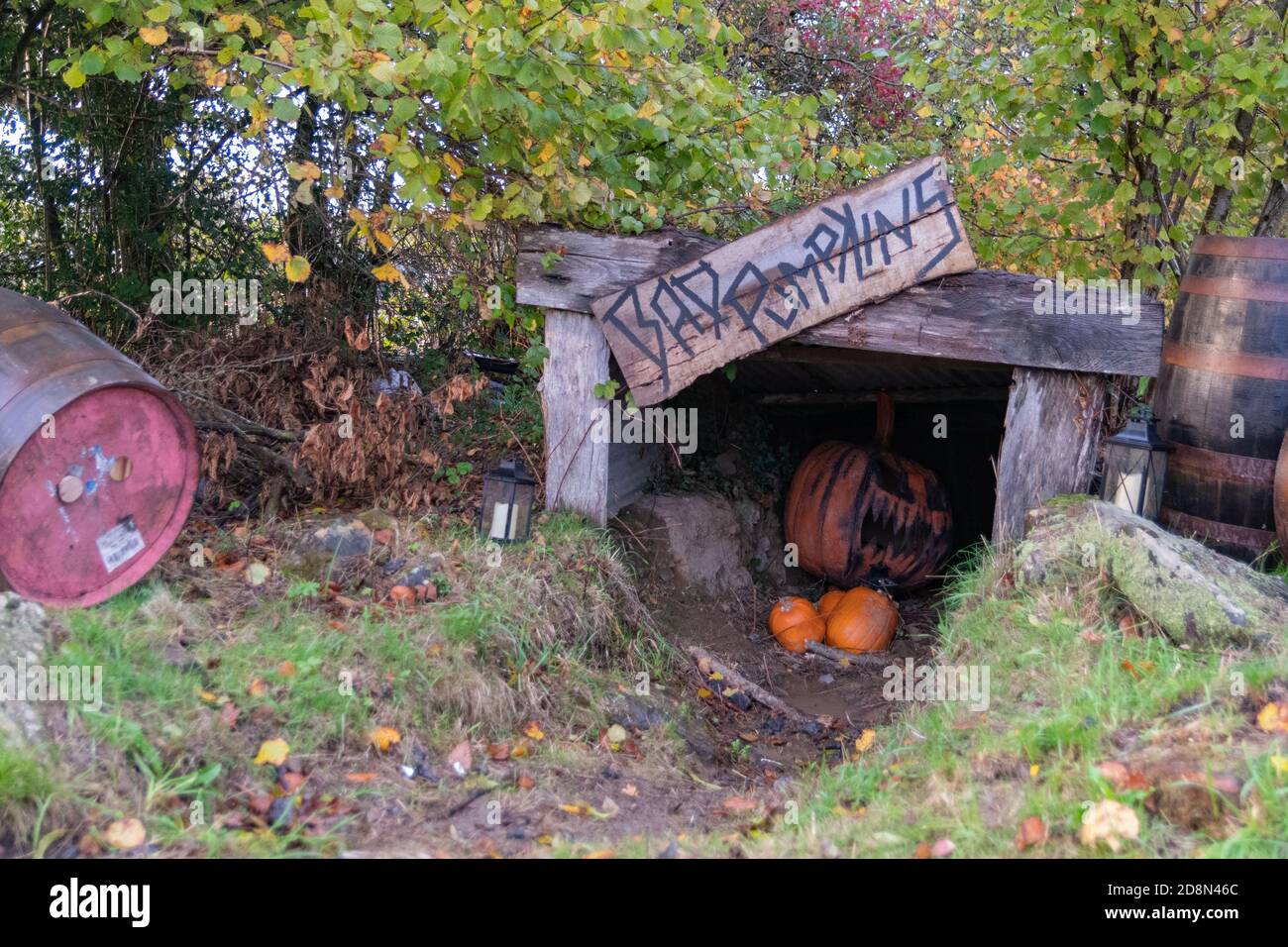 Bad patch hi-res stock photography and images - Alamy