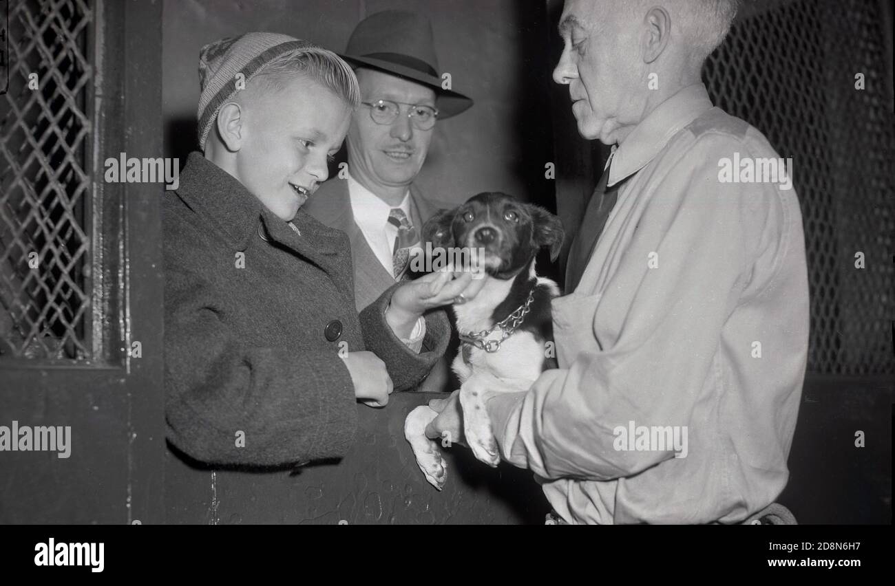 1948, historical, accompanied by his father, a young boy's face lights ...