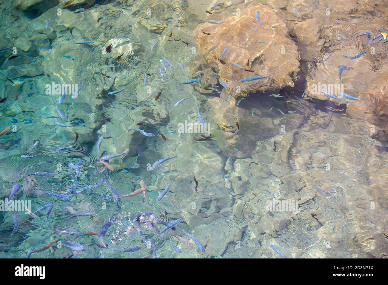 Baby swimming underwater hi-res stock photography and images - Alamy