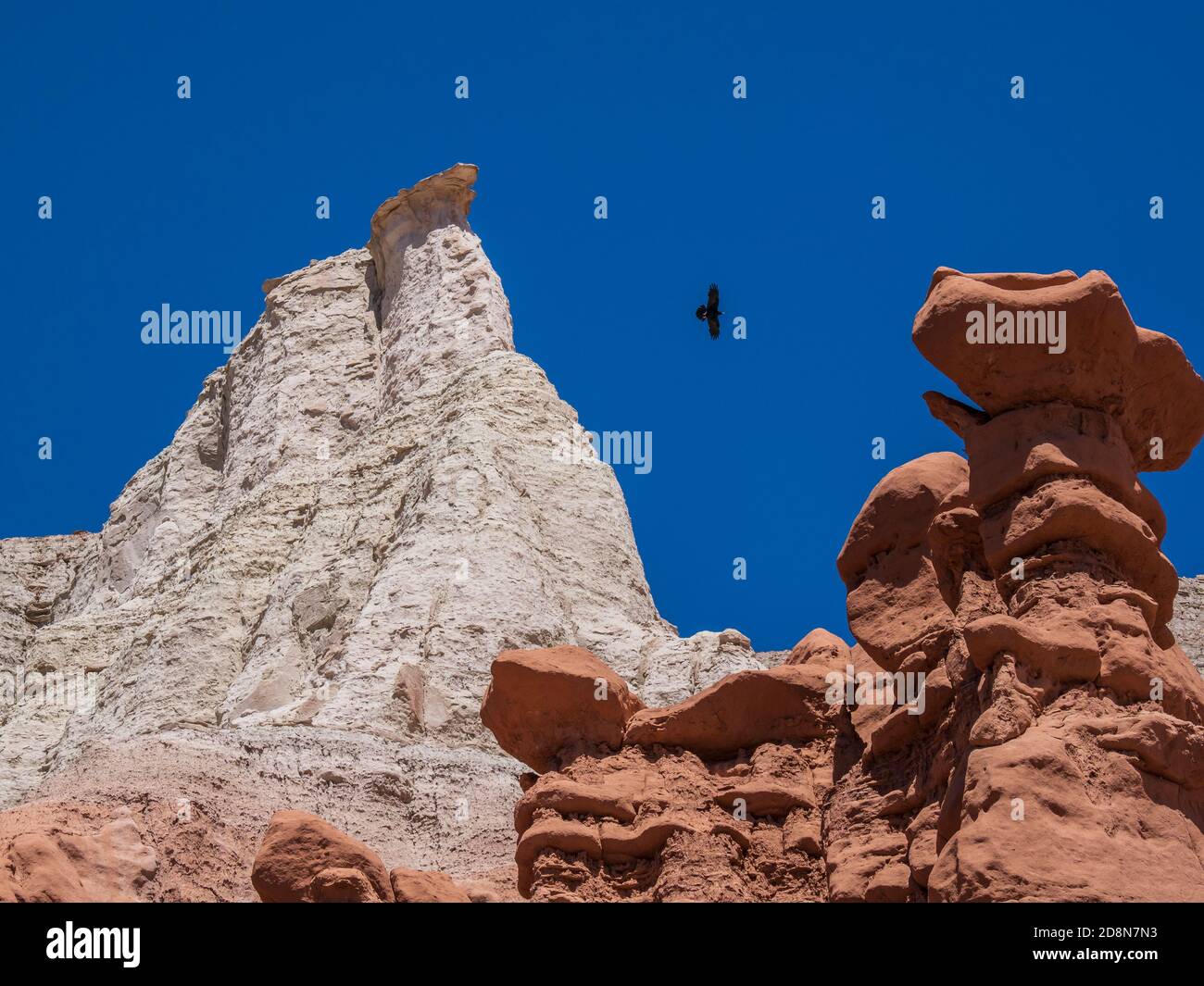 Raven flies between the cliffs and hoodoos, Goblin's Lair trail, Goblin ...