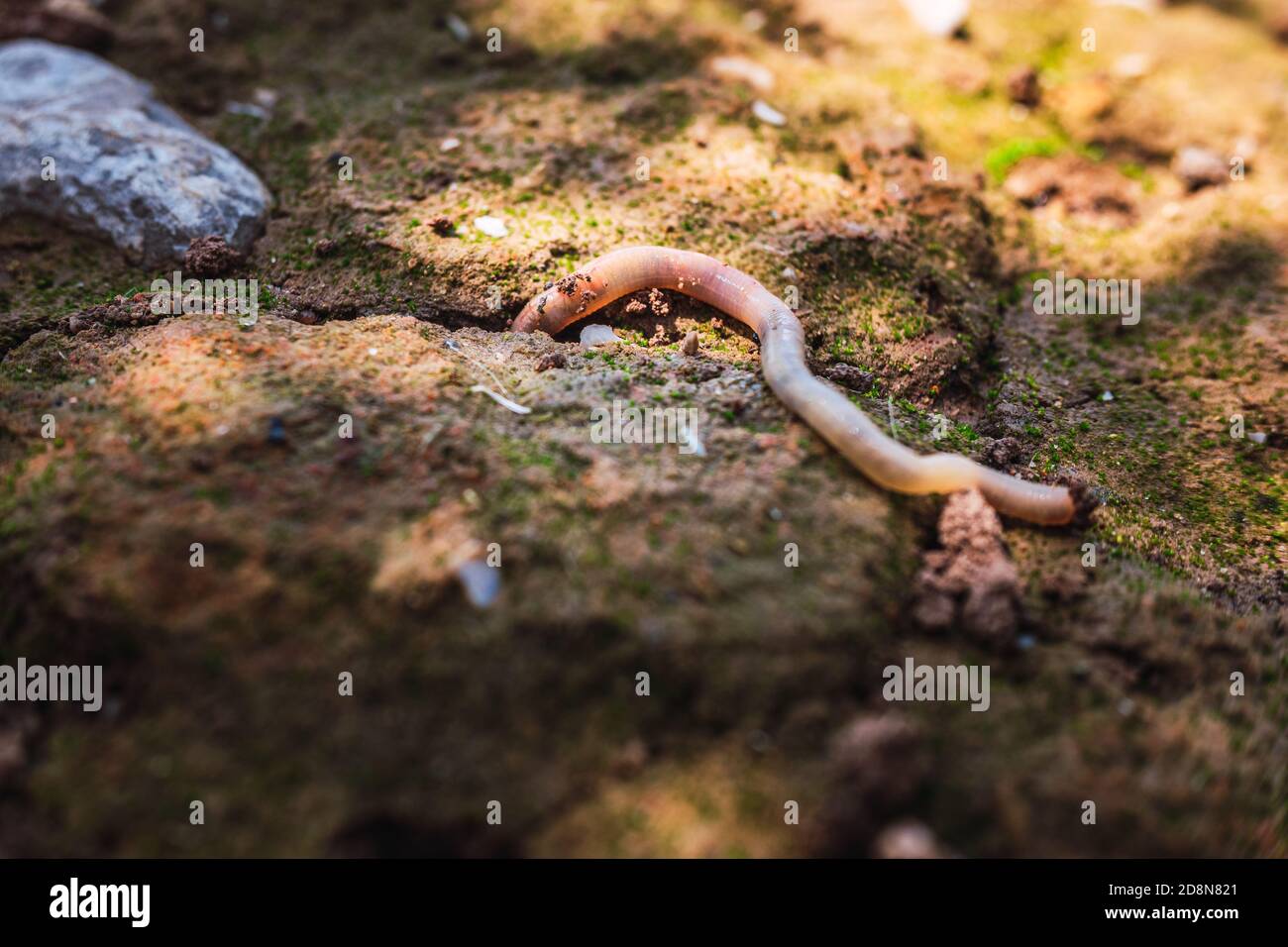 Foodcycle hi-res stock photography and images - Alamy
