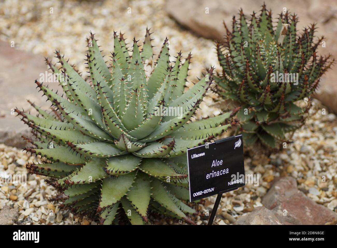 Endangered properties hi-res stock photography and images - Alamy