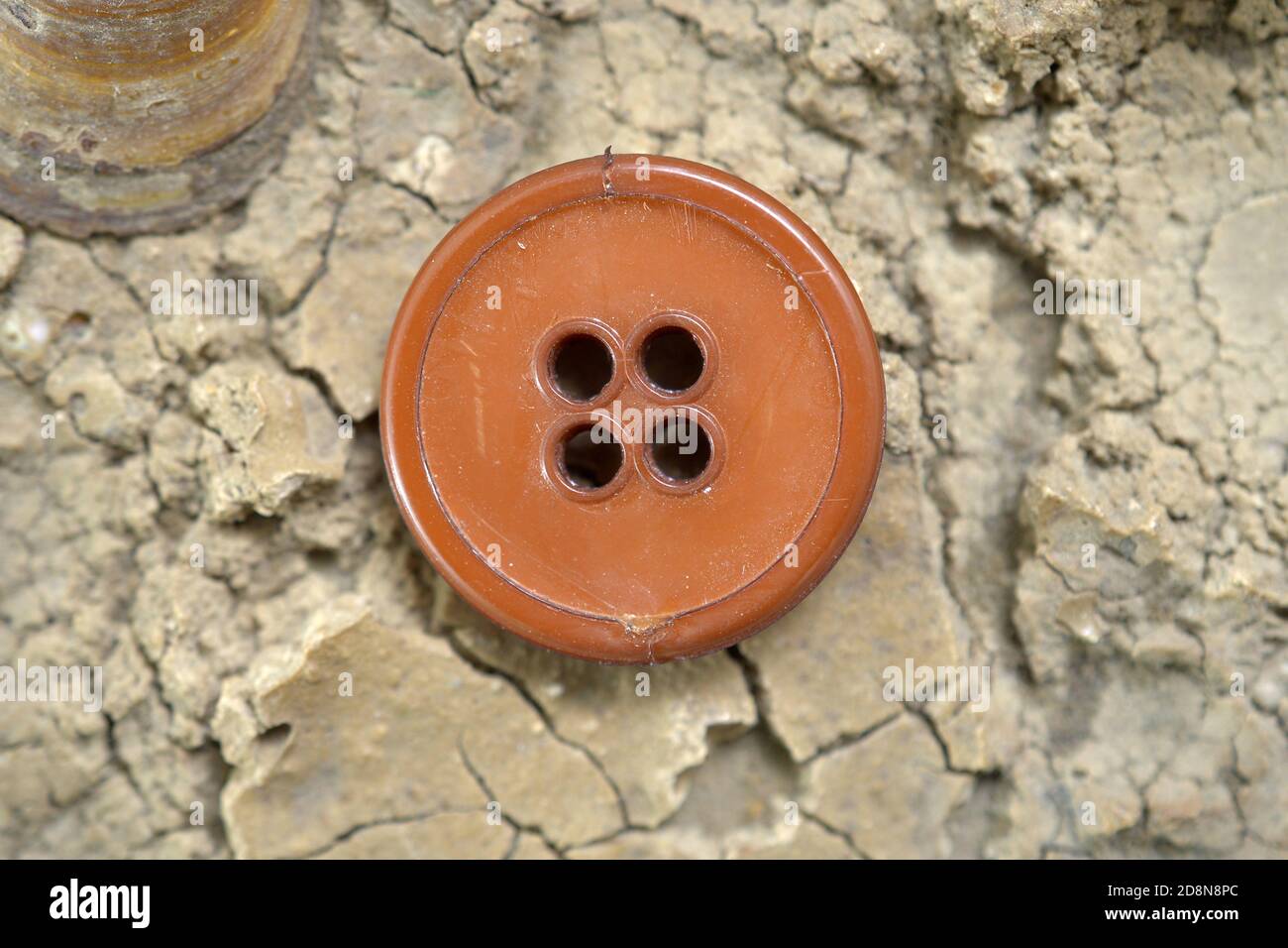 close up image of sewing button button Stock Photo - Alamy