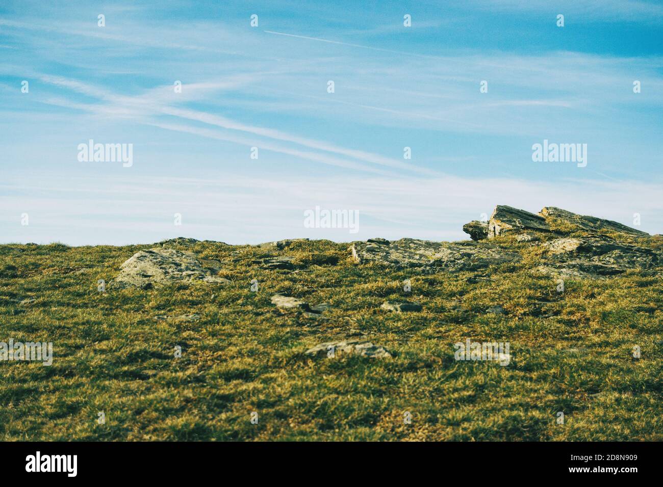 Vegetation among rocks hi-res stock photography and images - Alamy