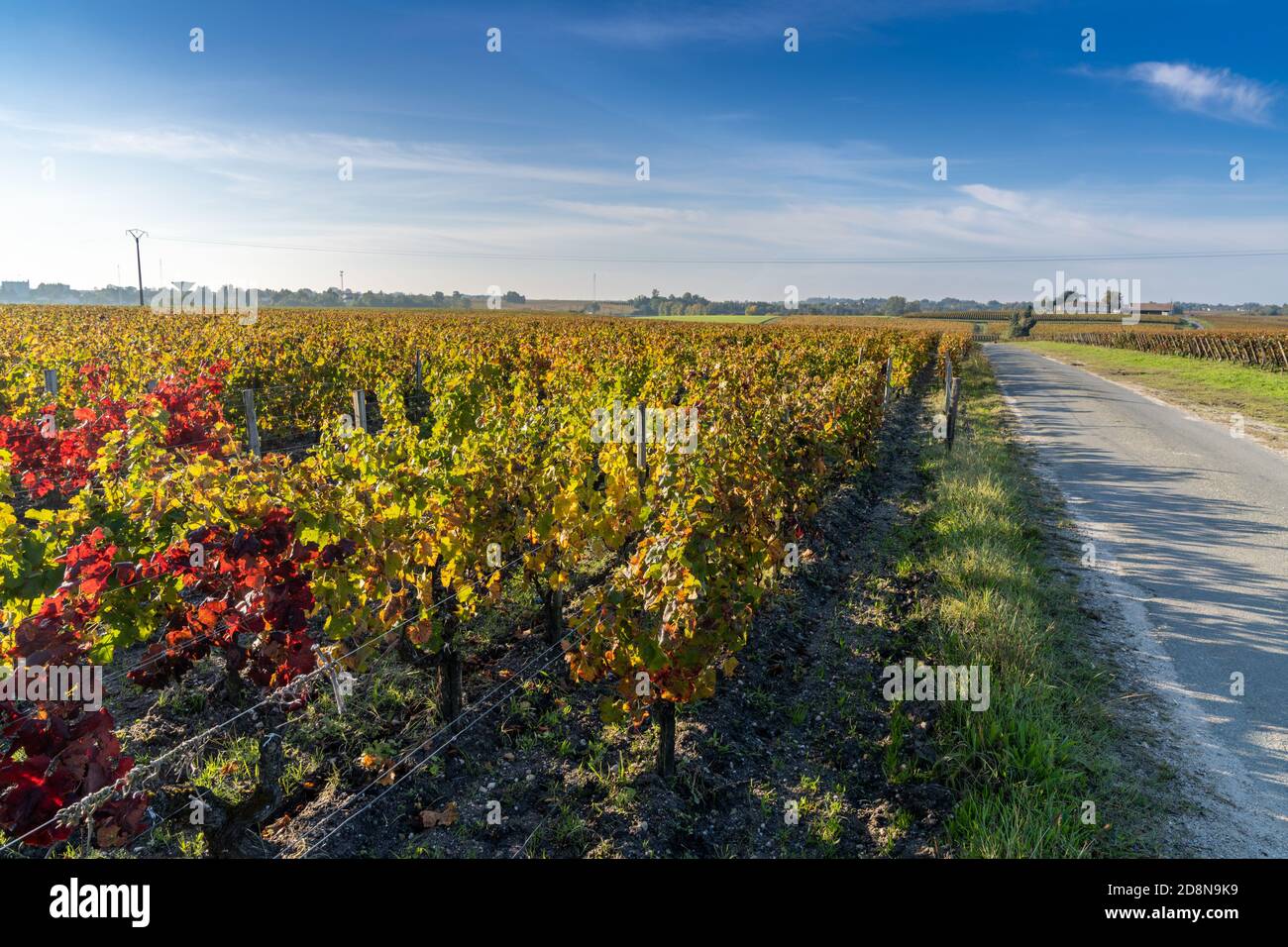 Margeaux hi-res stock photography and images - Alamy