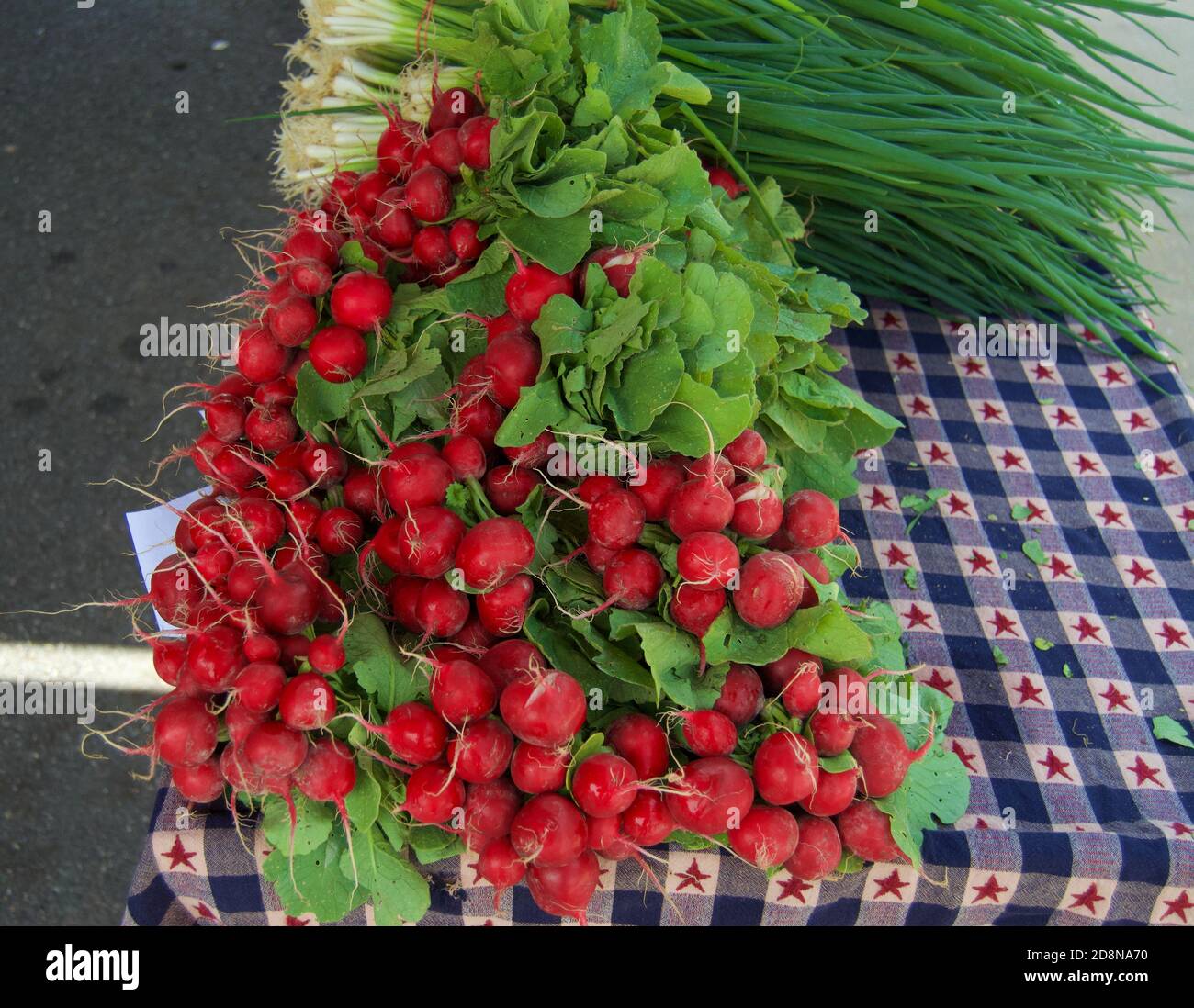 Pile of red radish bunches, on the table for sale at a farmer's market ...