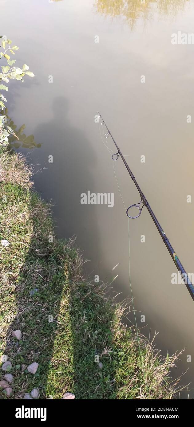 Trout fishing in the lake with the spinning technique Stock Photo - Alamy