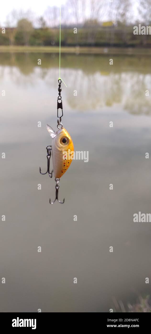 Trout fishing in the lake with the spinning technique Stock Photo - Alamy