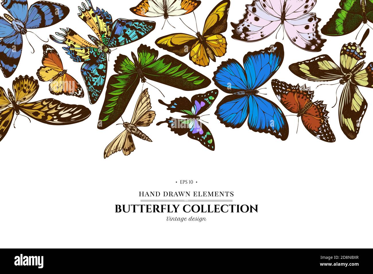 The blue tiger moth Stock Vector Images - Alamy