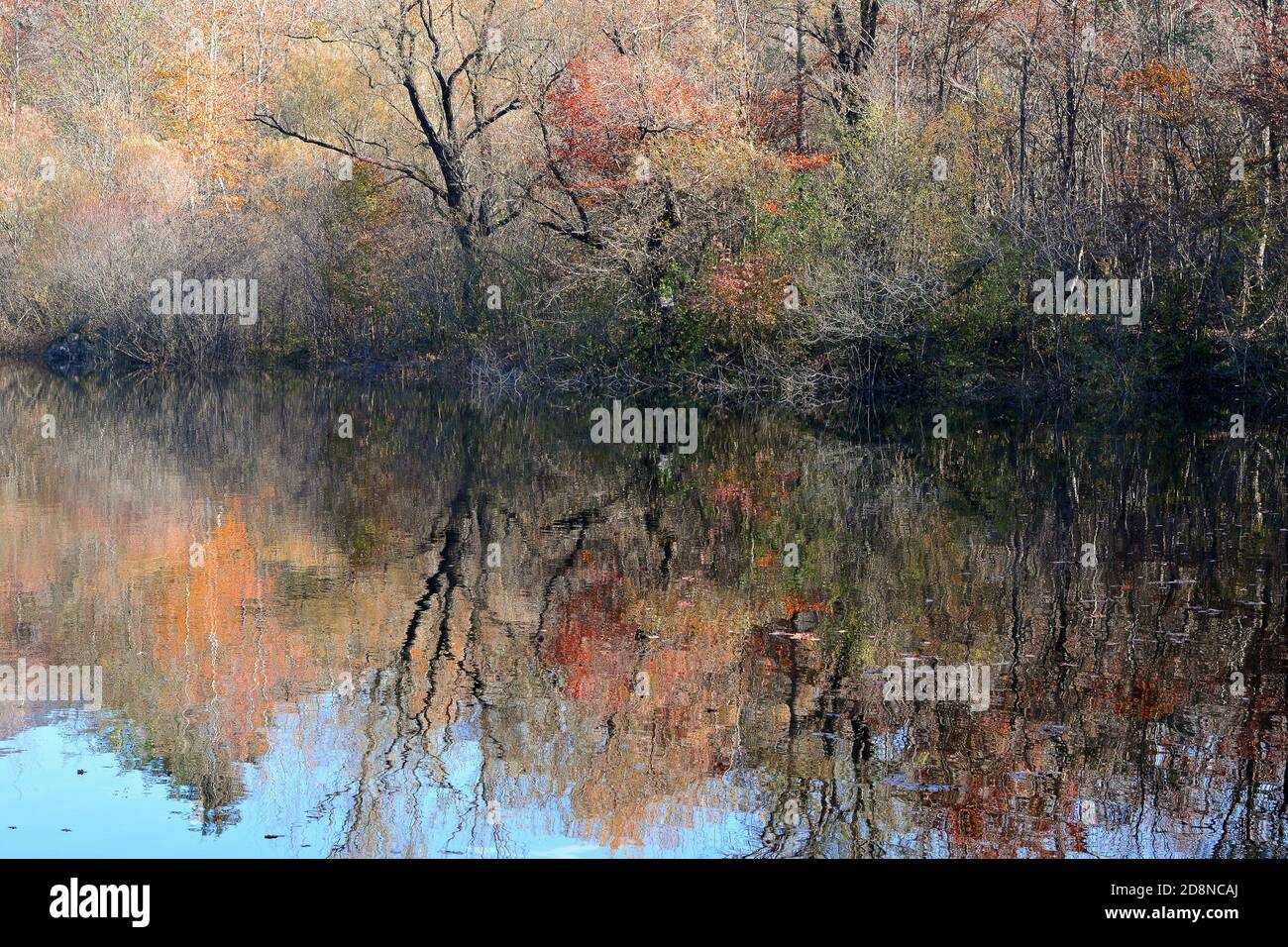 autumn reflection on the lake Stock Photo - Alamy