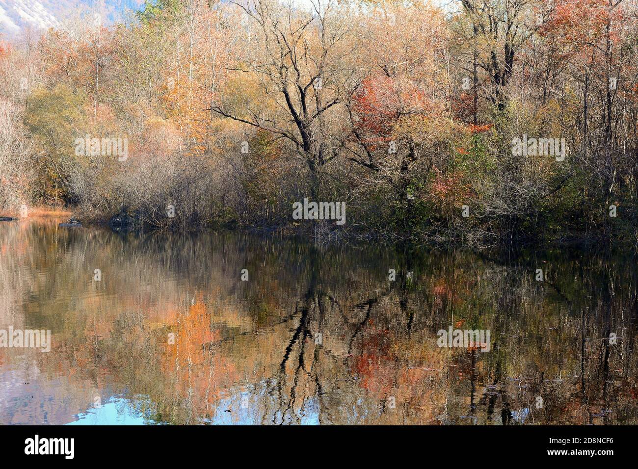 reflections on the lake Stock Photo - Alamy
