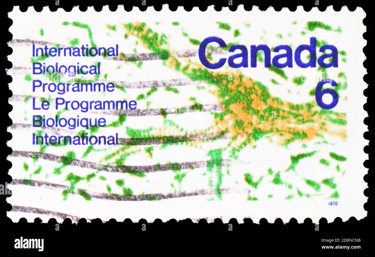 International biological programme hi-res stock photography and images ...