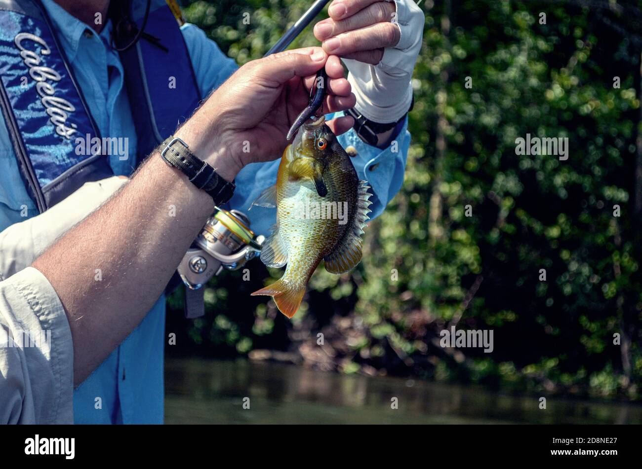 Fishing on rafting boat, arms holding and displaying fish Stock Photo ...