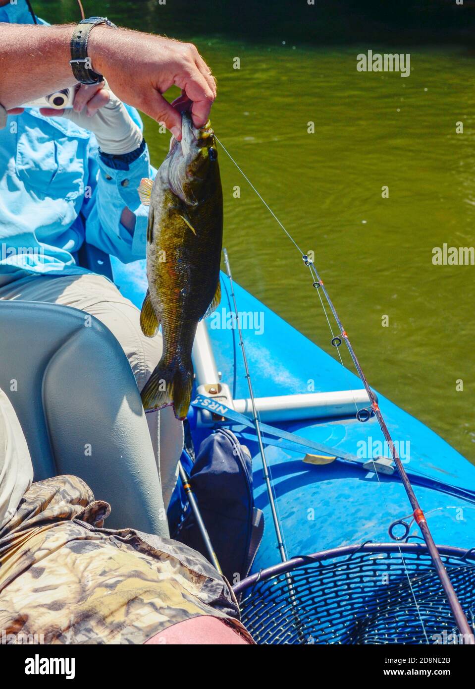 Fishing on rafting boat, arms holding and displaying fish Stock Photo ...