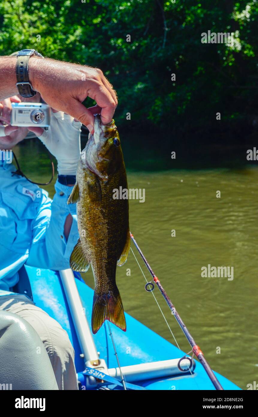 Person holding fish on boat hi-res stock photography and images - Alamy