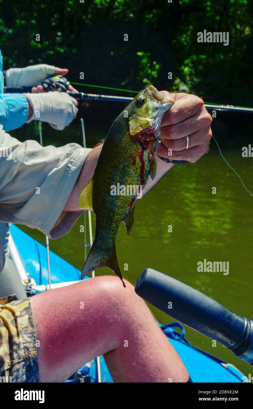 Fishing on rafting boat, arms holding and displaying fish Stock Photo ...