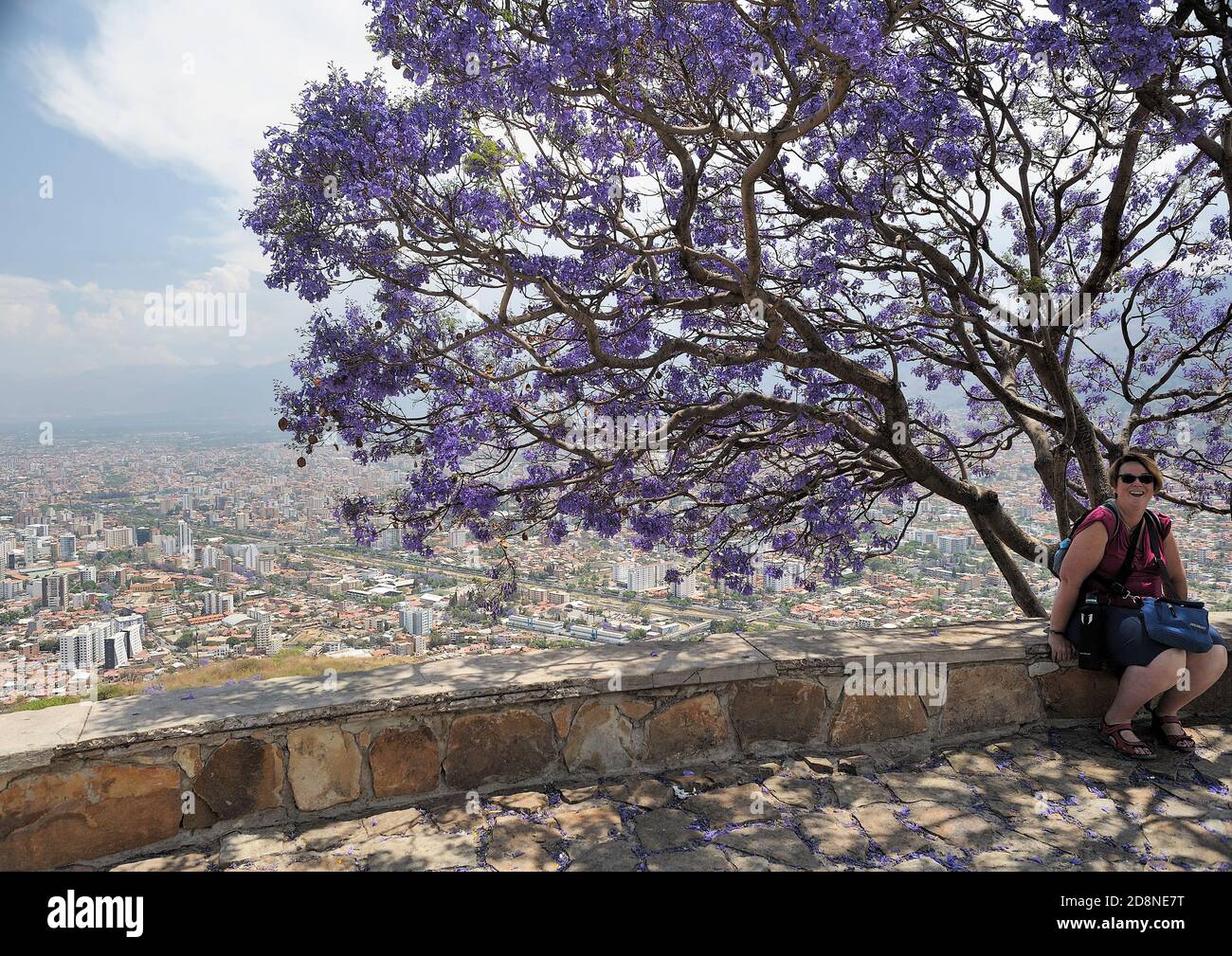 Flowering trees, Cochabamba, Bolivia Stock Photo - Alamy