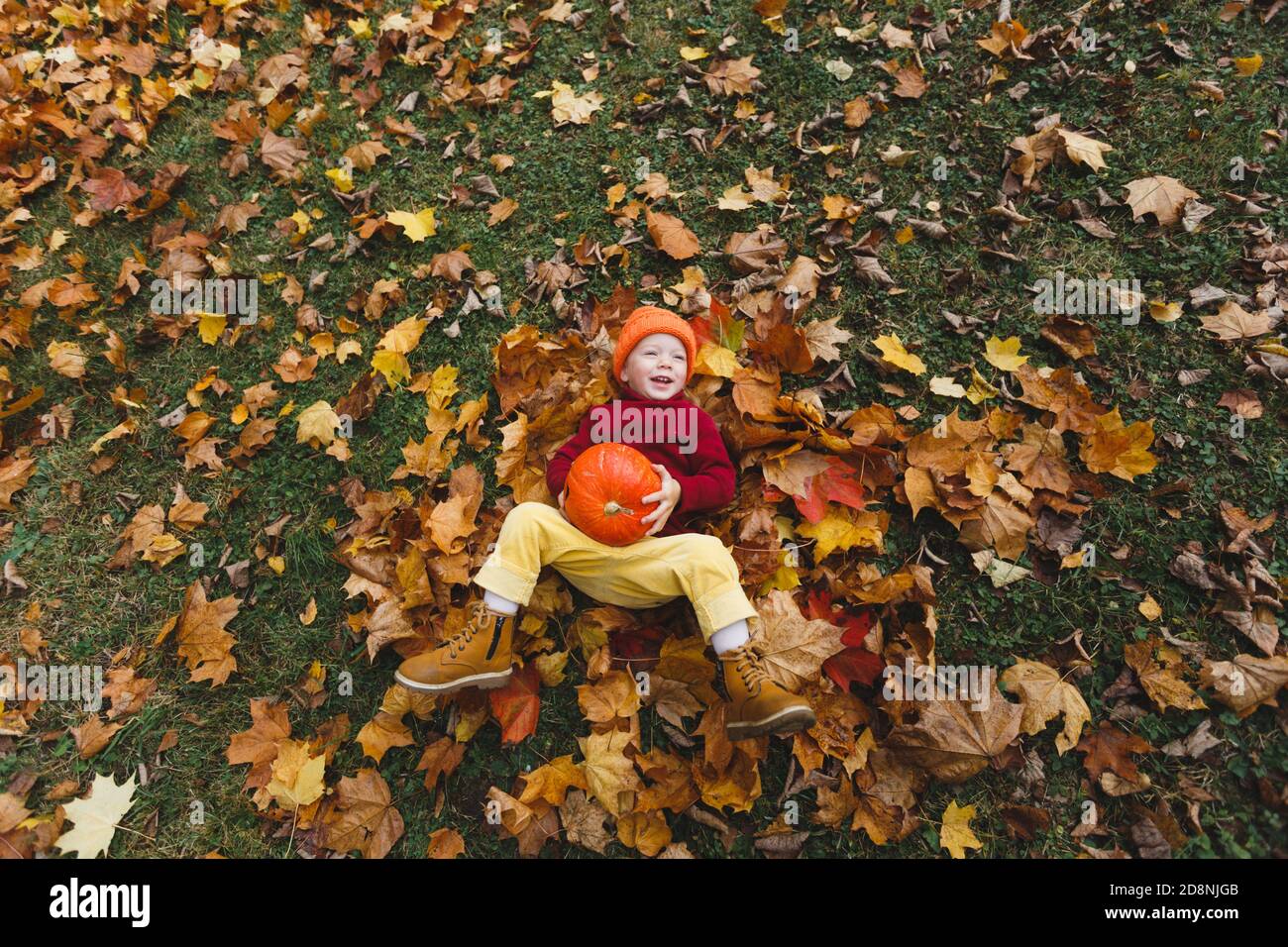 the girl lies on her back on the yellow autumn leaves with a large ...