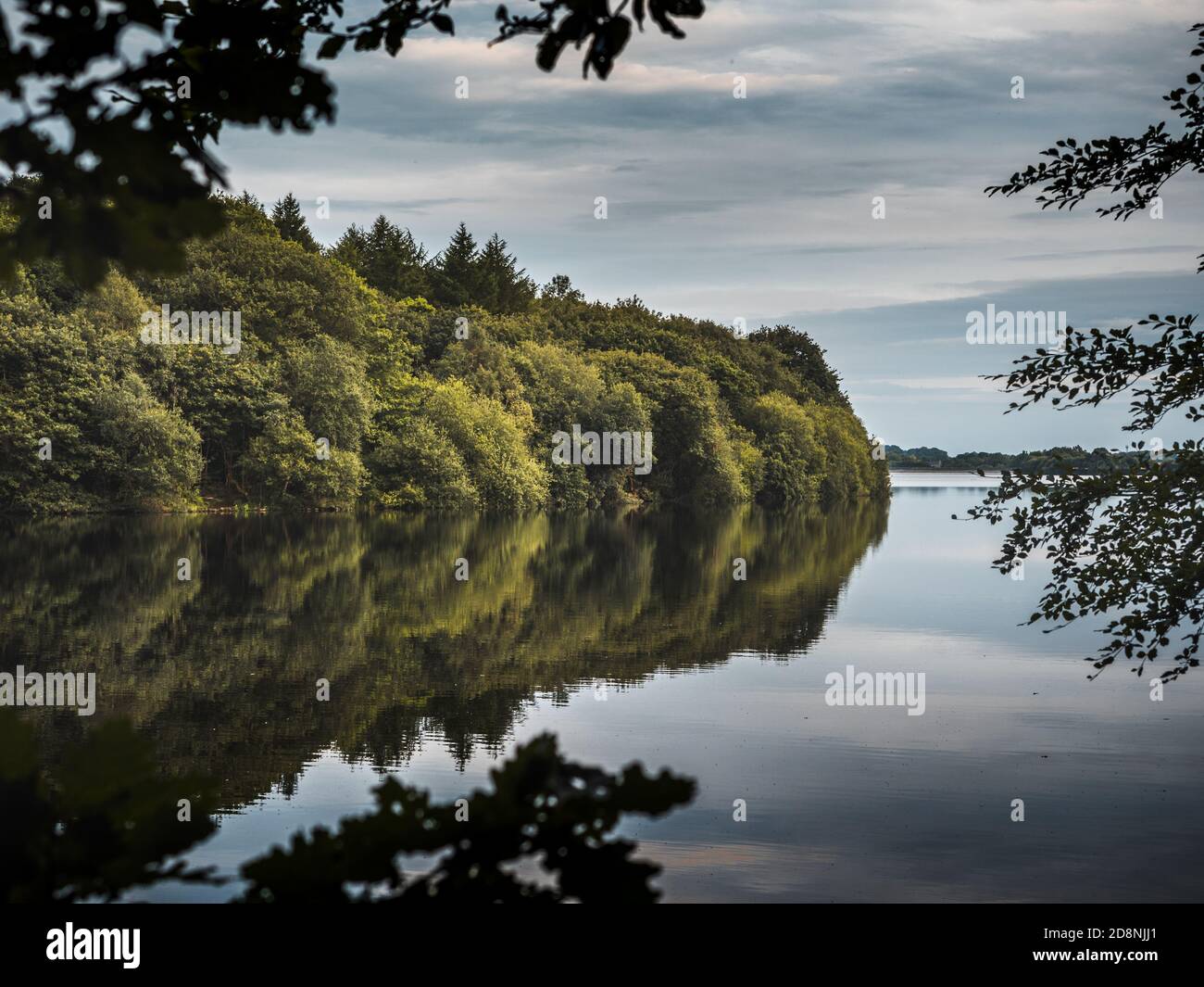 Anglezarke reservoir hi-res stock photography and images - Alamy