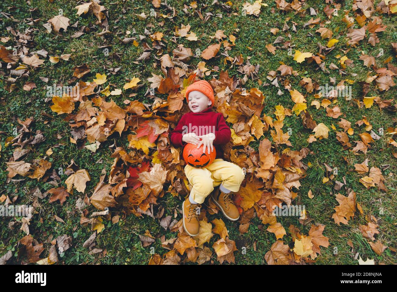 the girl lies on her back on the yellow autumn leaves with a large ...