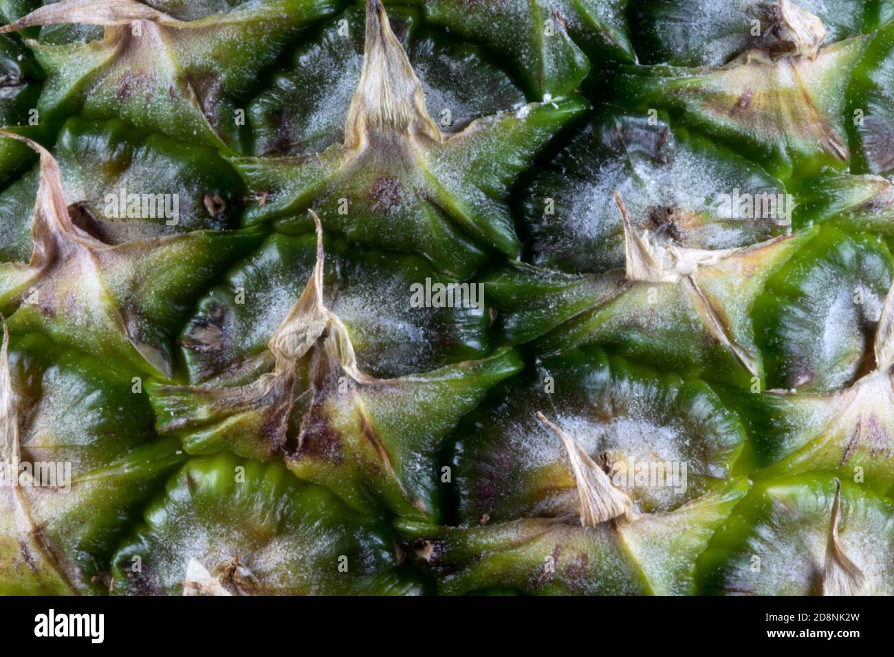 Green skin fruit pineapple texture hi-res stock photography and images ...