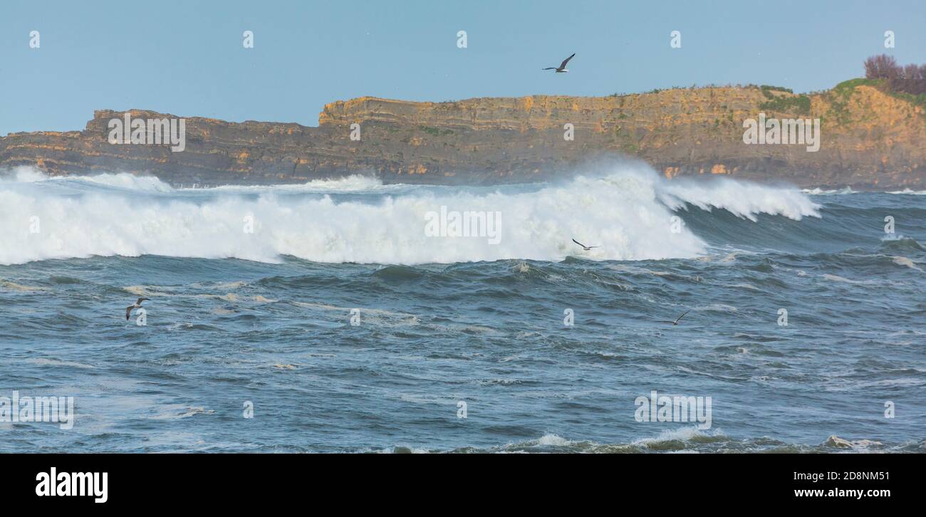 Izaro island, Bermeo, Cantabrian Sea, Urdaibai, Bizkaia, Basque Country ...