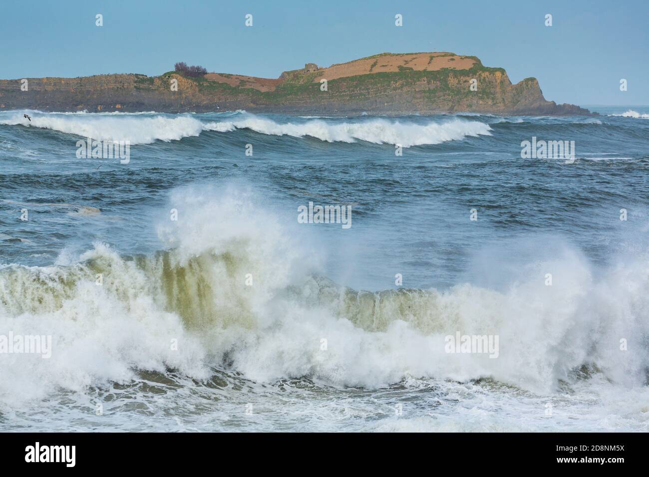 Izaro island, Bermeo, Cantabrian Sea, Urdaibai, Bizkaia, Basque Country ...