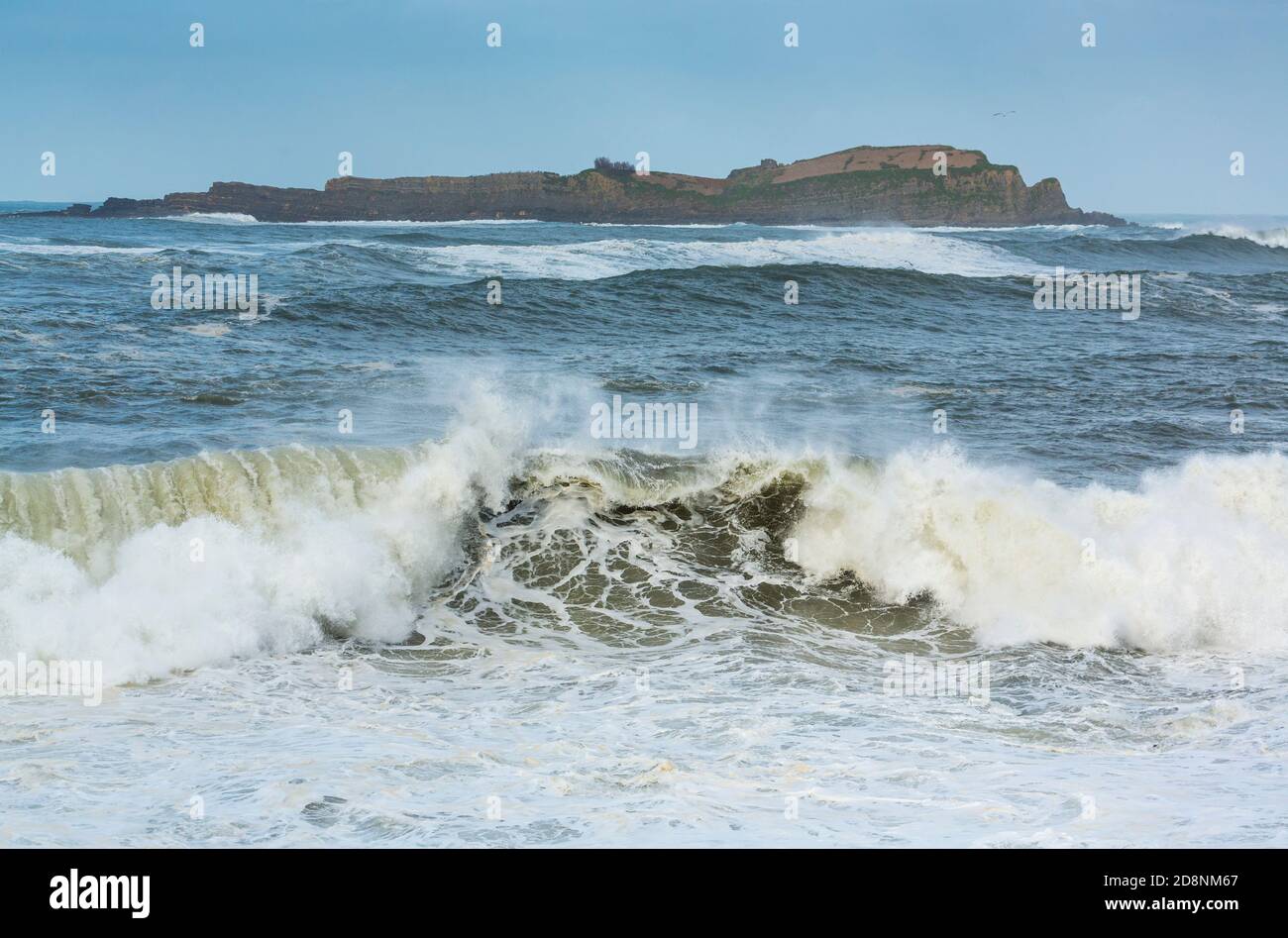 Izaro island, Bermeo, Cantabrian Sea, Urdaibai, Bizkaia, Basque Country ...