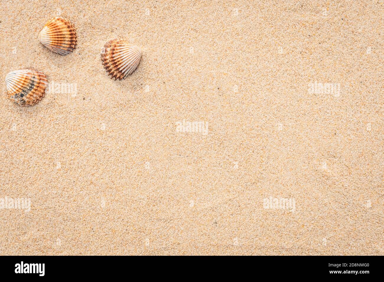 Background grains of sea sand, fine beach sand Stock Photo - Alamy