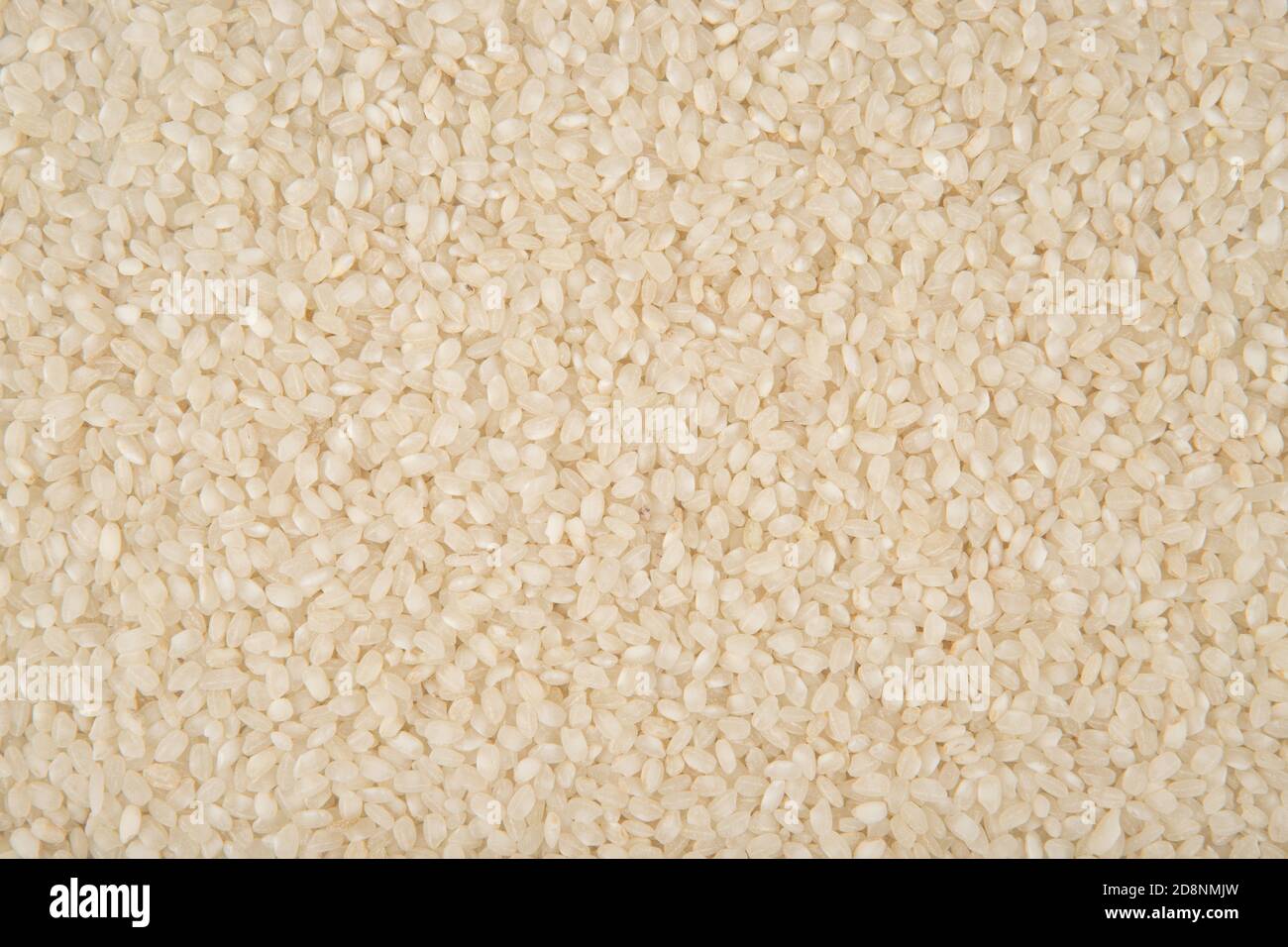 Sushi rice texture - top view and closeup on grains of raw rice for ...