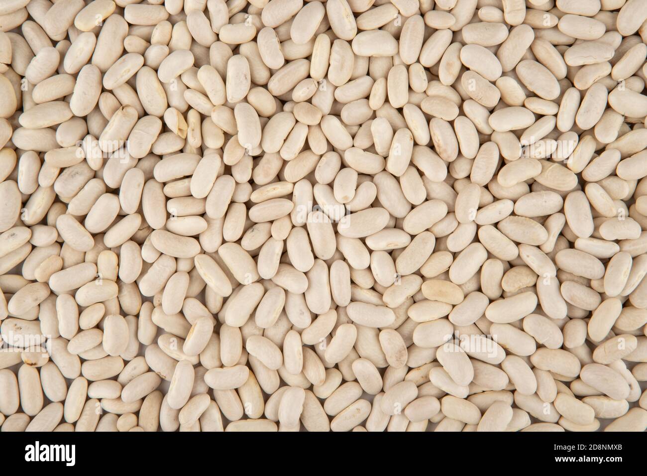 White beans texture - bean seeds top view and closeup Stock Photo - Alamy