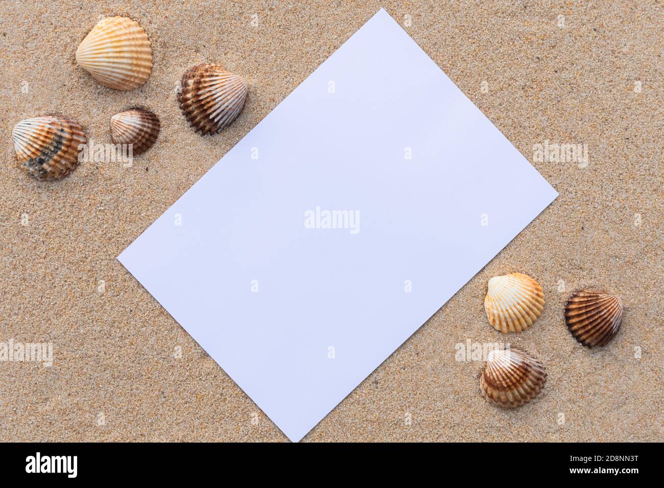 Background grains of sea sand, fine beach sand with envelope and pebble ...