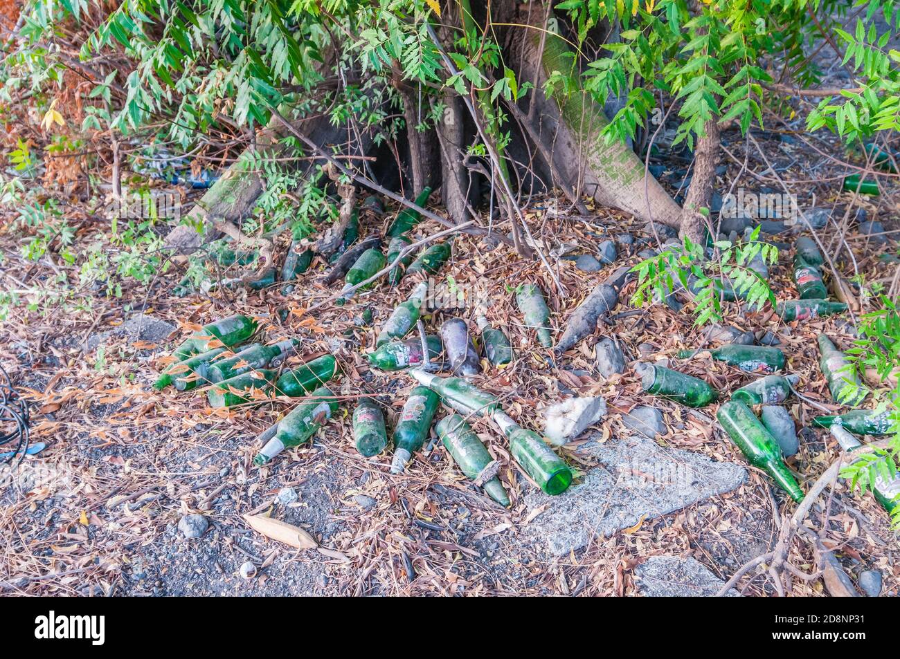 trash, forest, bali, Indonesia Stock Photo - Alamy