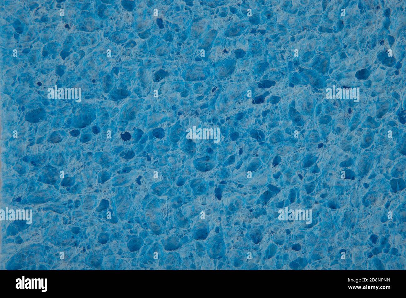 Sponge texture - top view and close-up of the structure of a blue ...