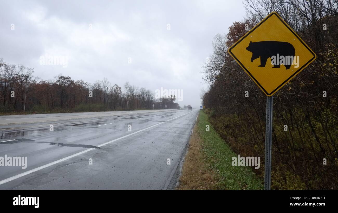 Bear crossing sign, Bradford, Pennsylvania Stock Photo - Alamy
