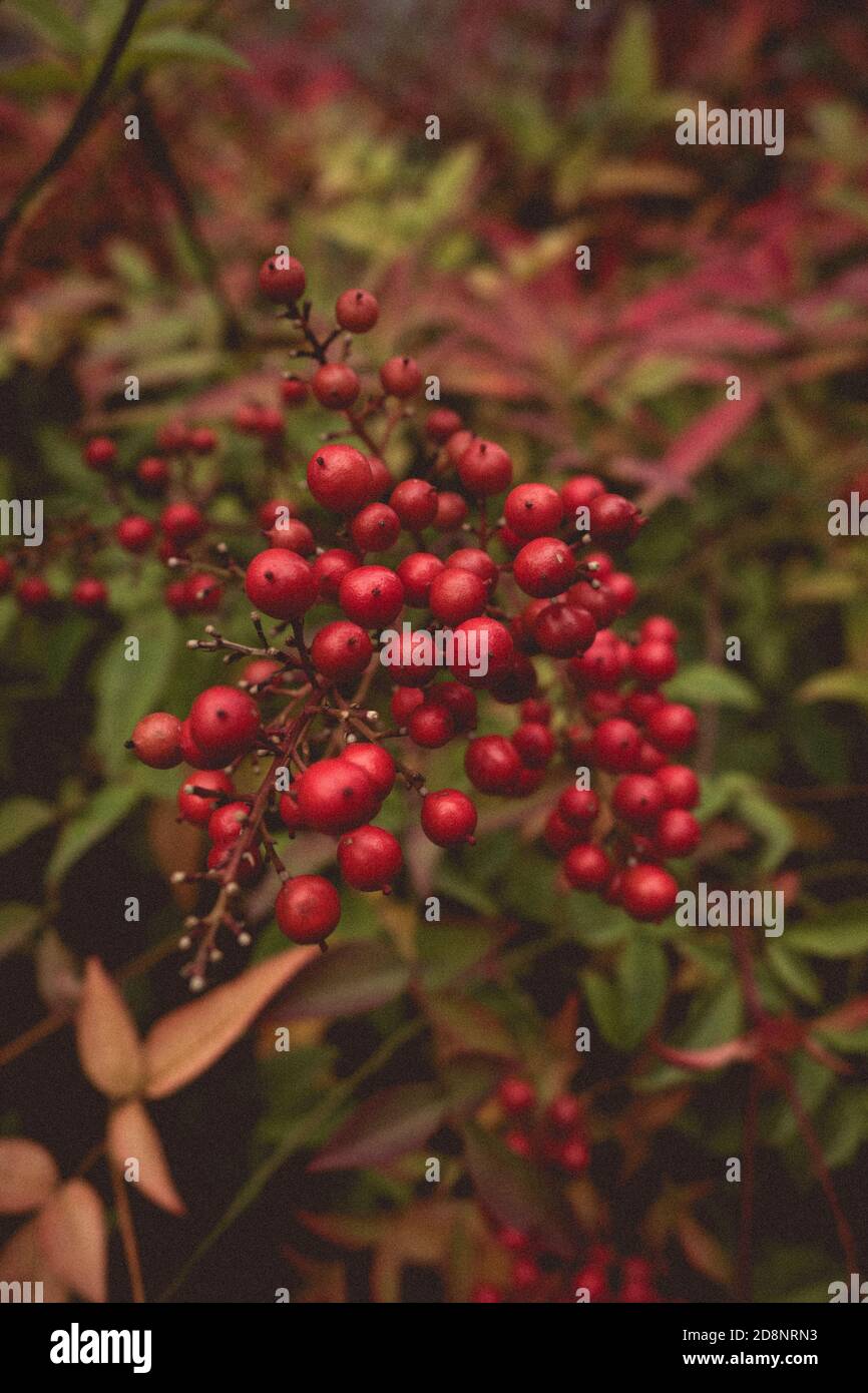 Milano pioggia hi-res stock photography and images - Alamy