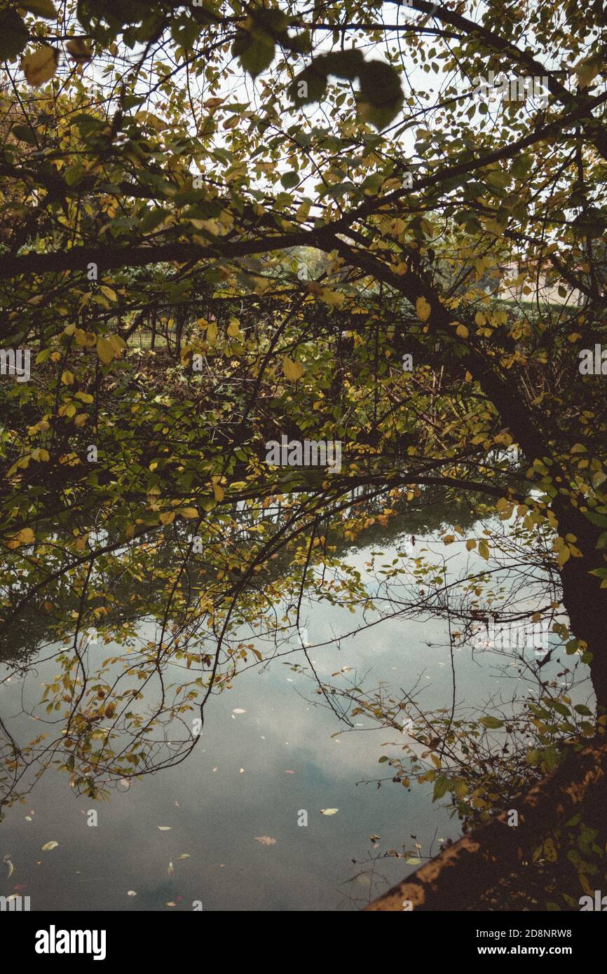 Milano pioggia hi-res stock photography and images - Alamy