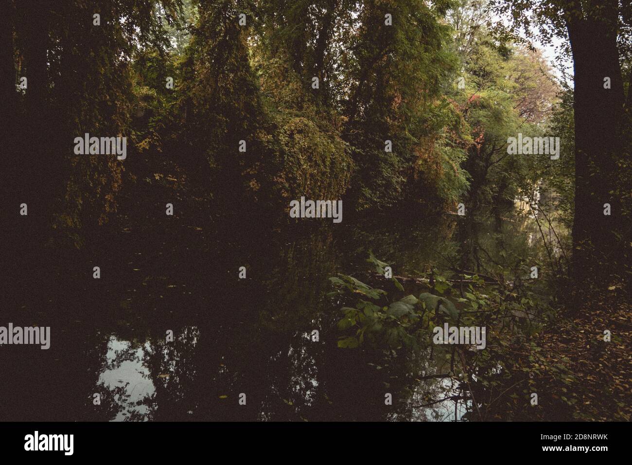 Milano pioggia hi-res stock photography and images - Alamy