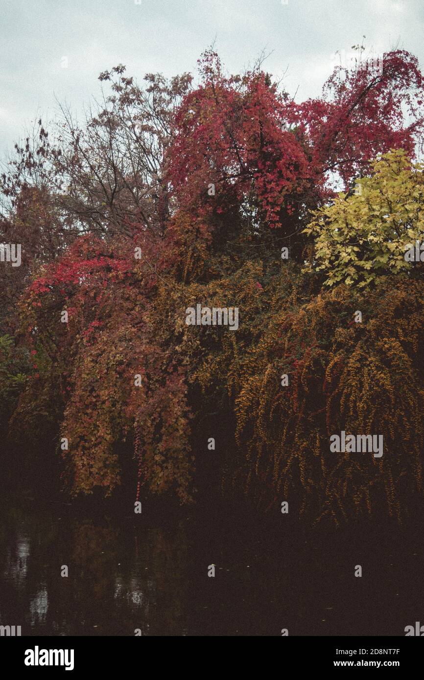 Milano pioggia hi-res stock photography and images - Alamy