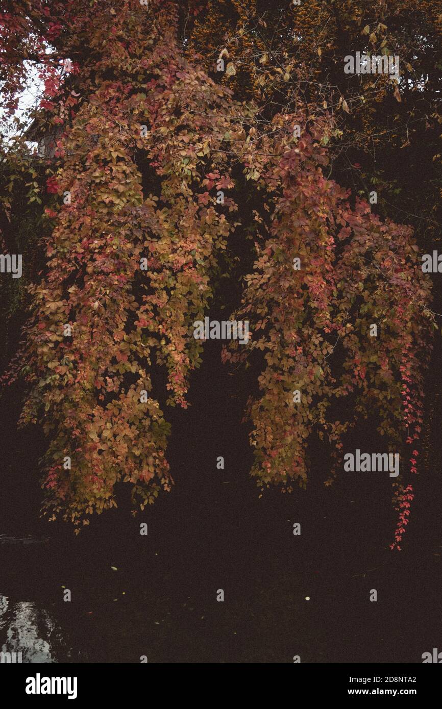 Milano pioggia hi-res stock photography and images - Alamy