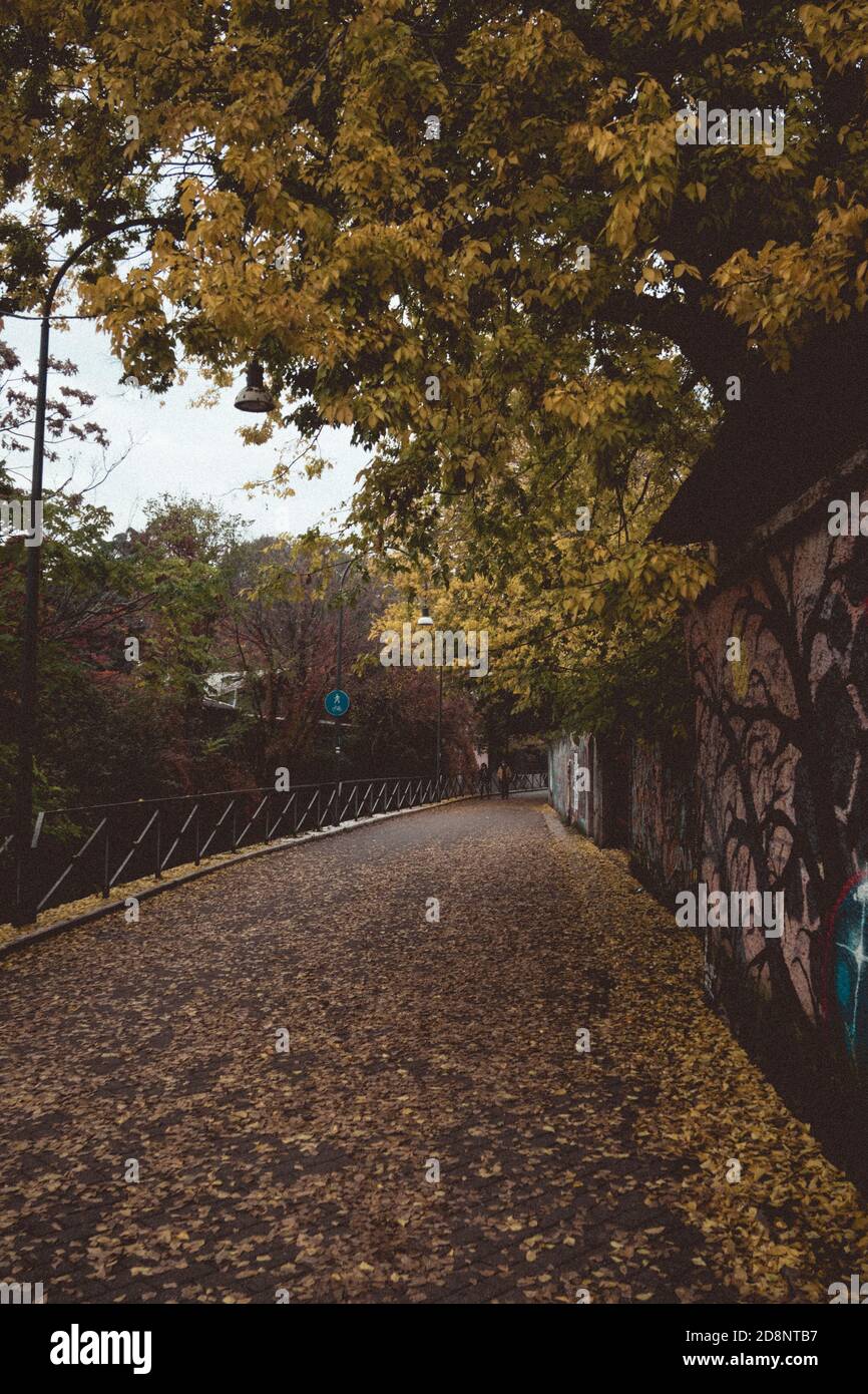 Milano pioggia hi-res stock photography and images - Alamy