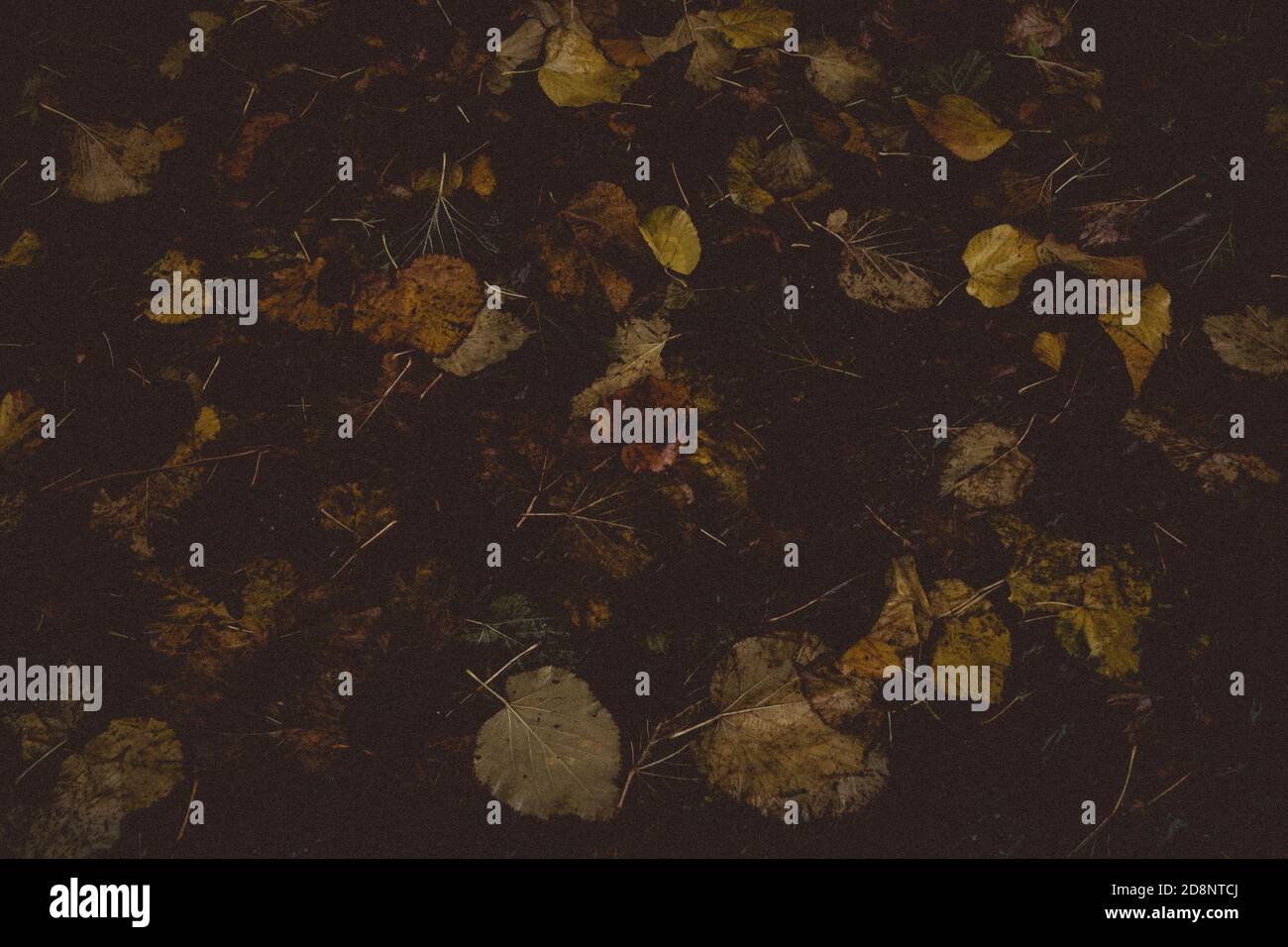 Milano pioggia hi-res stock photography and images - Alamy